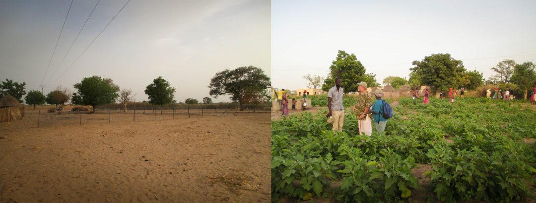 Field Report: Visit to the Village of Mboss | Blog Posts | CREATE!