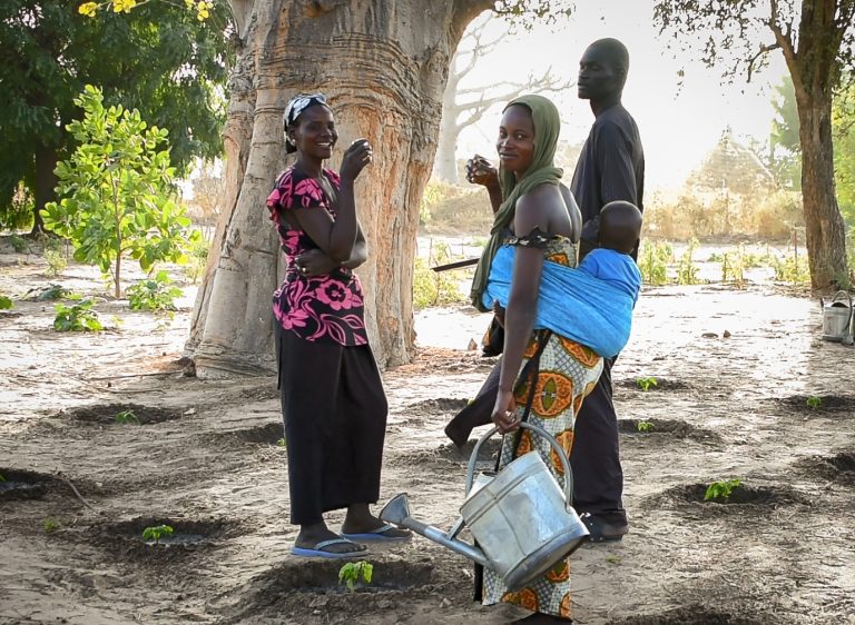 Attaya: Senegalese Tea Culture | Blog Posts | CREATE!