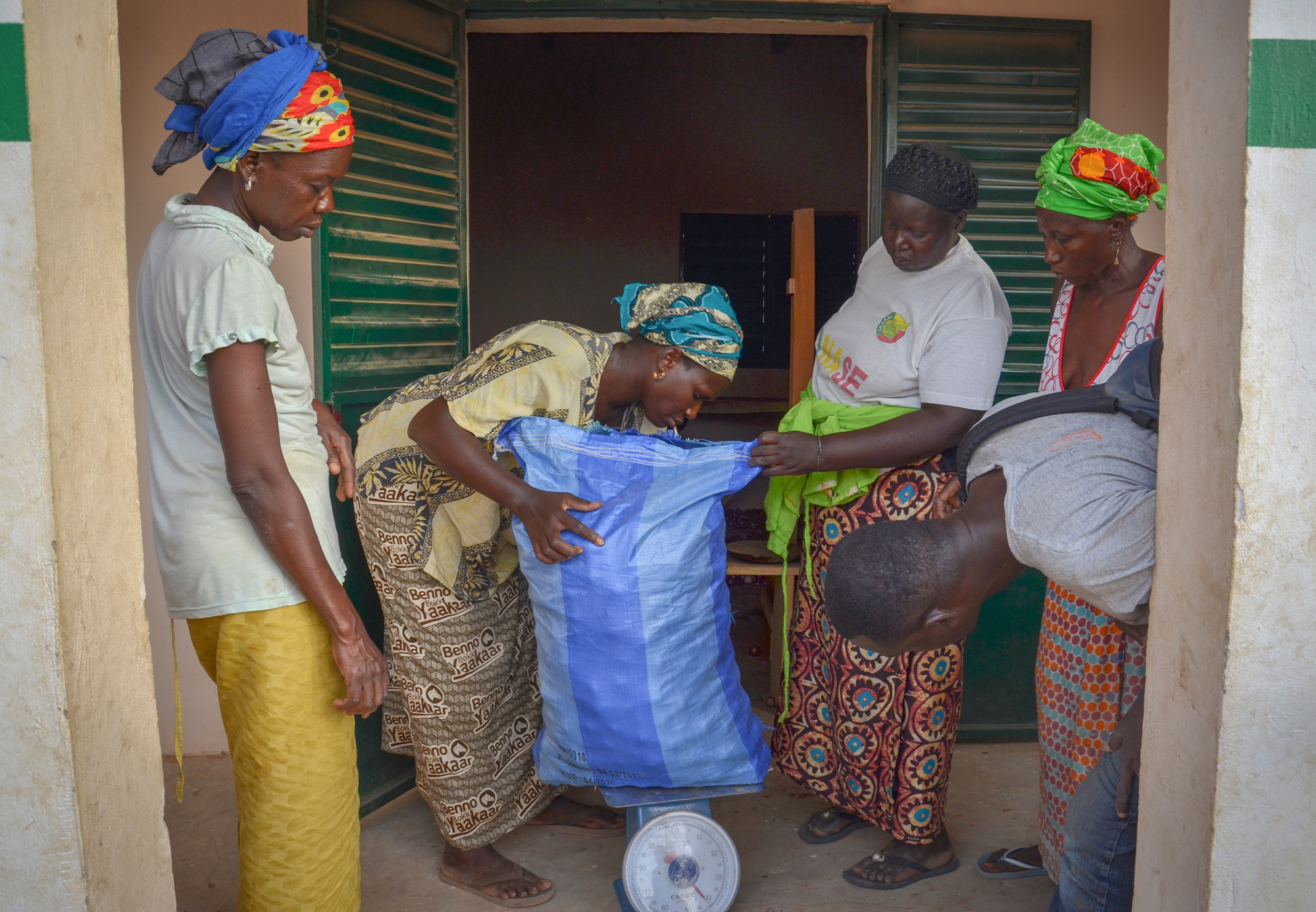 Mboss: Then and Now | Blog Posts | CREATE!