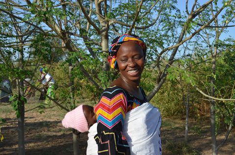 Senegal Culture: Family First | Sustainable Solutions in West Africa