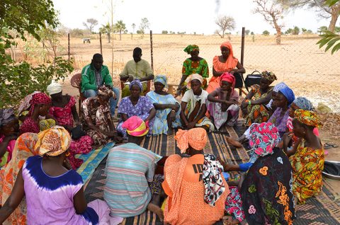 Decreasing Rural Migration in Senegal: An Interview with President Diop